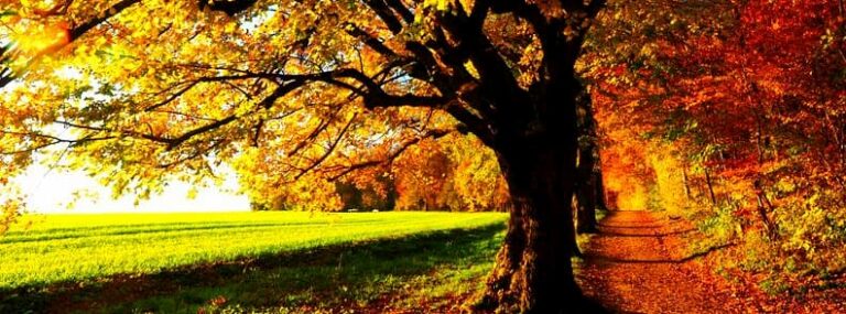 Top 10 Autumn Vacation Tips: Plan An Unforgettable Fall 2025