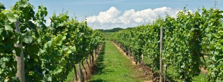Visit Long Island 2026: Top 7 Must-See Attractions