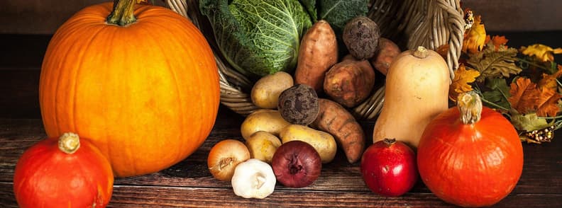 9 Best Things To Do In Nantucket This Fall For A Memorable Getaway