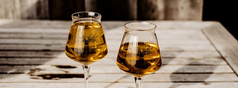 20 Best Things To Do In Cheddar Gorge On Somerset Vacation