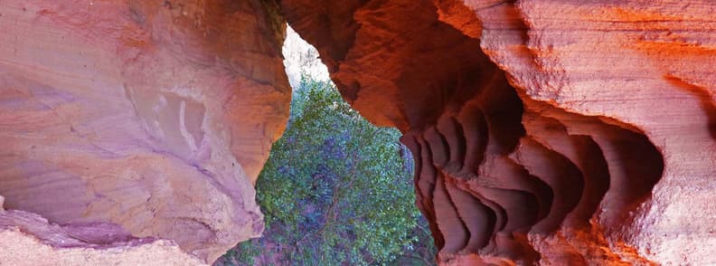 Hiking In Spain: 15 Best Trails For An Unforgettable Adventure