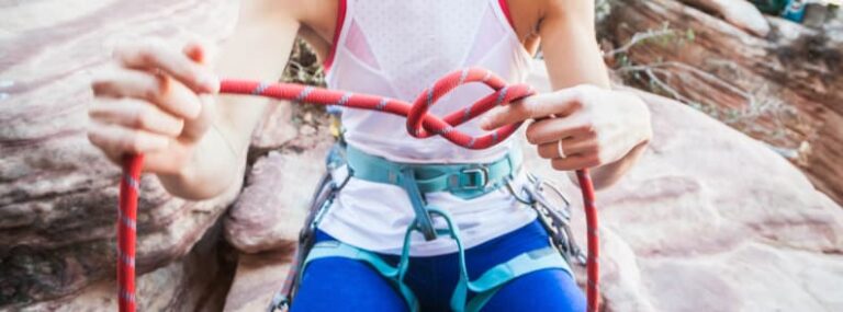 Wilderness Survival Guide: Top 9 Essential Skills To Thrive