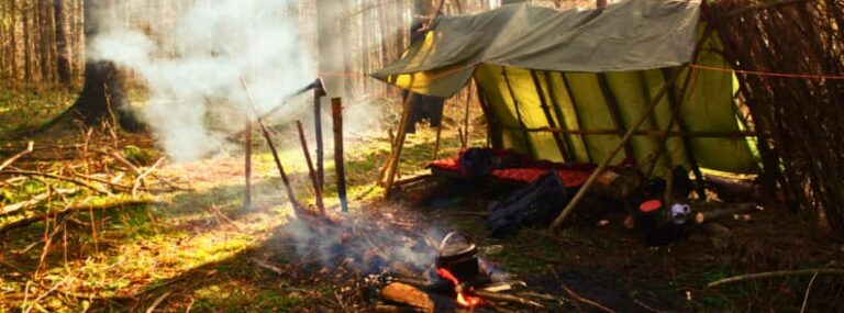 Wilderness Survival Guide: Top 9 Essential Skills To Thrive